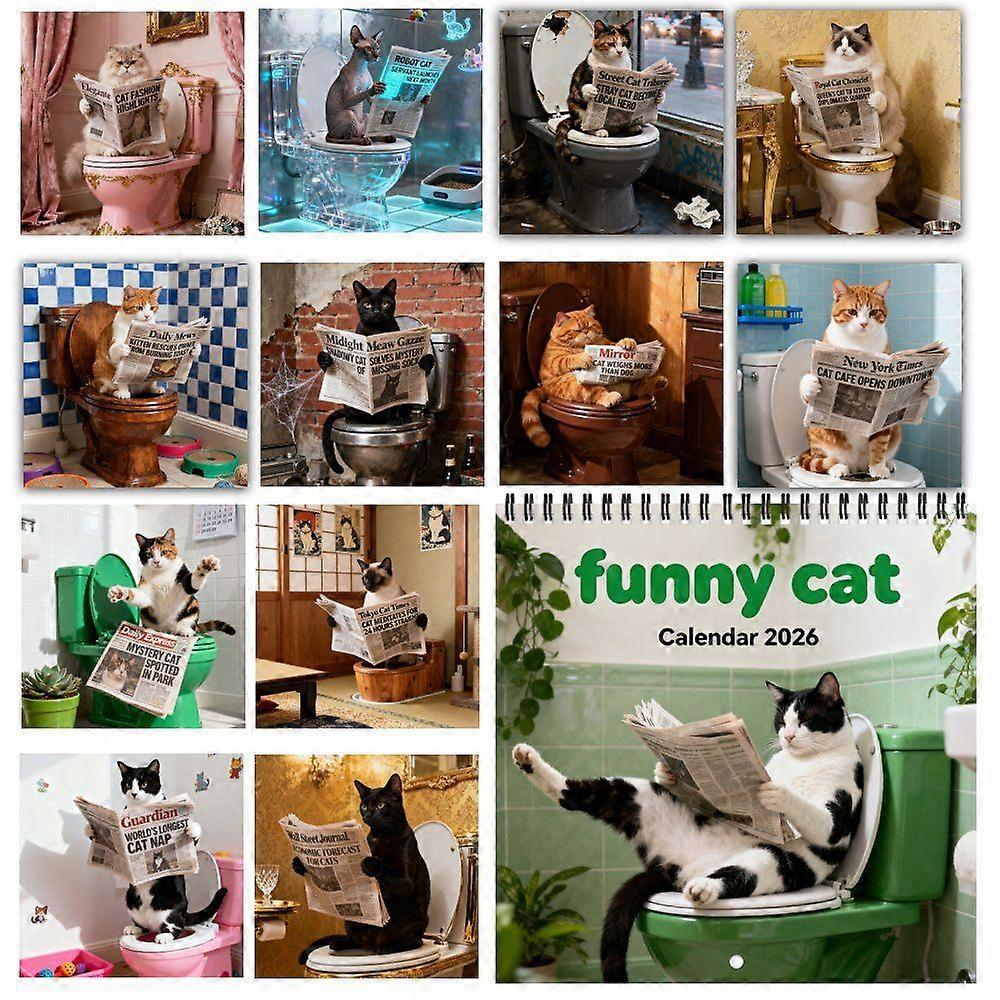 Funny Cat Calendar 2026 - Large 12 Month 2026 Wall Calendar - Month to ...