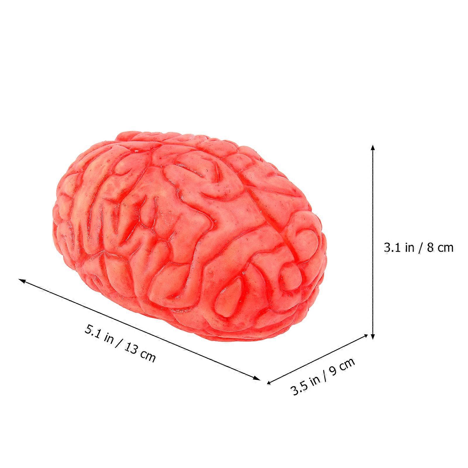 Halloween Decor Dead Body Prop Fake Severed Brain Human Brain Model ...