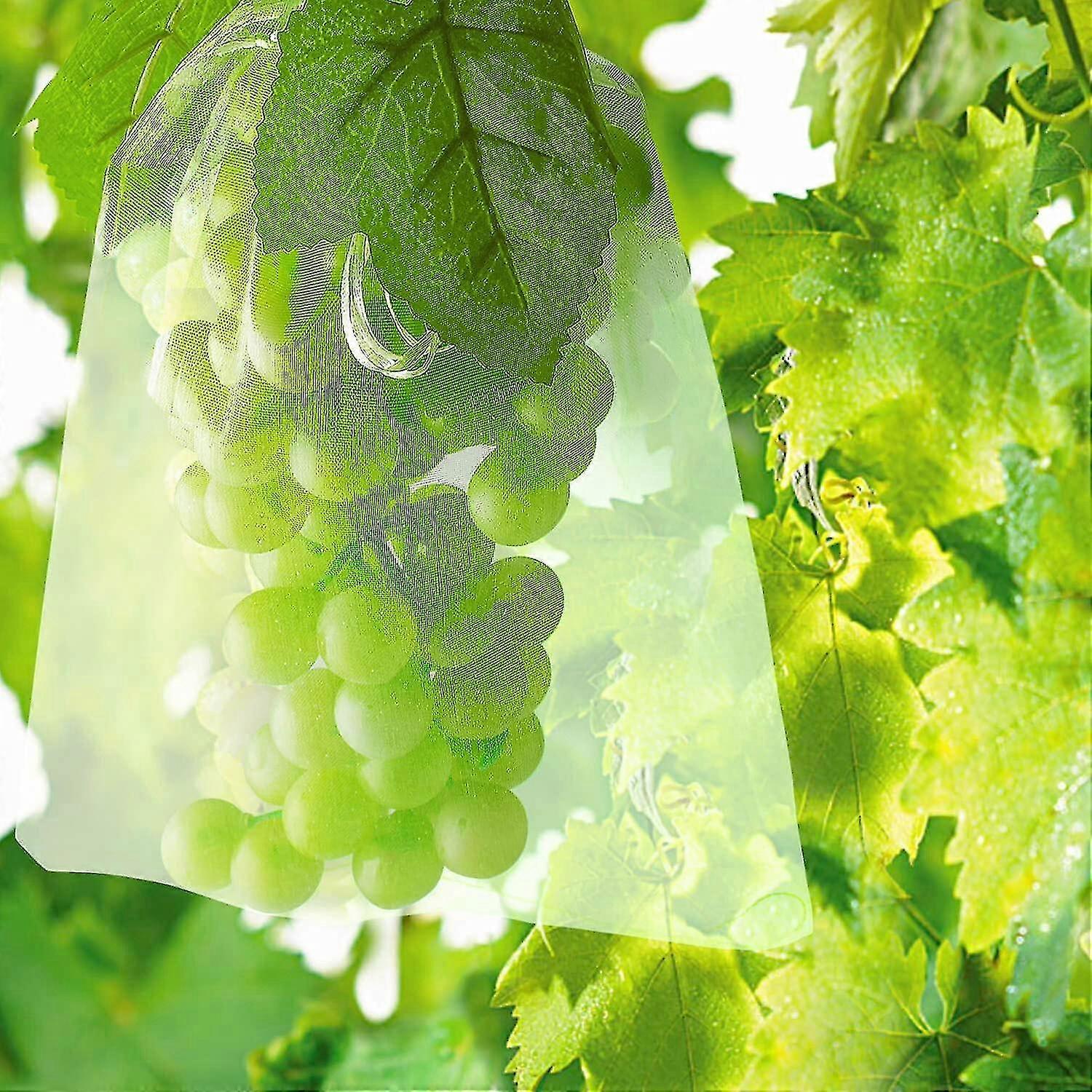 100 Fruit Protection Bag Net Bags Grape Bunch Protection Against Birds ...