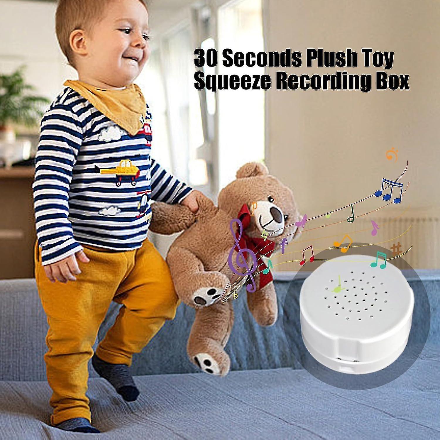Voice Recorder for Teddys Bear Press Recordable Voice Sound Box ...