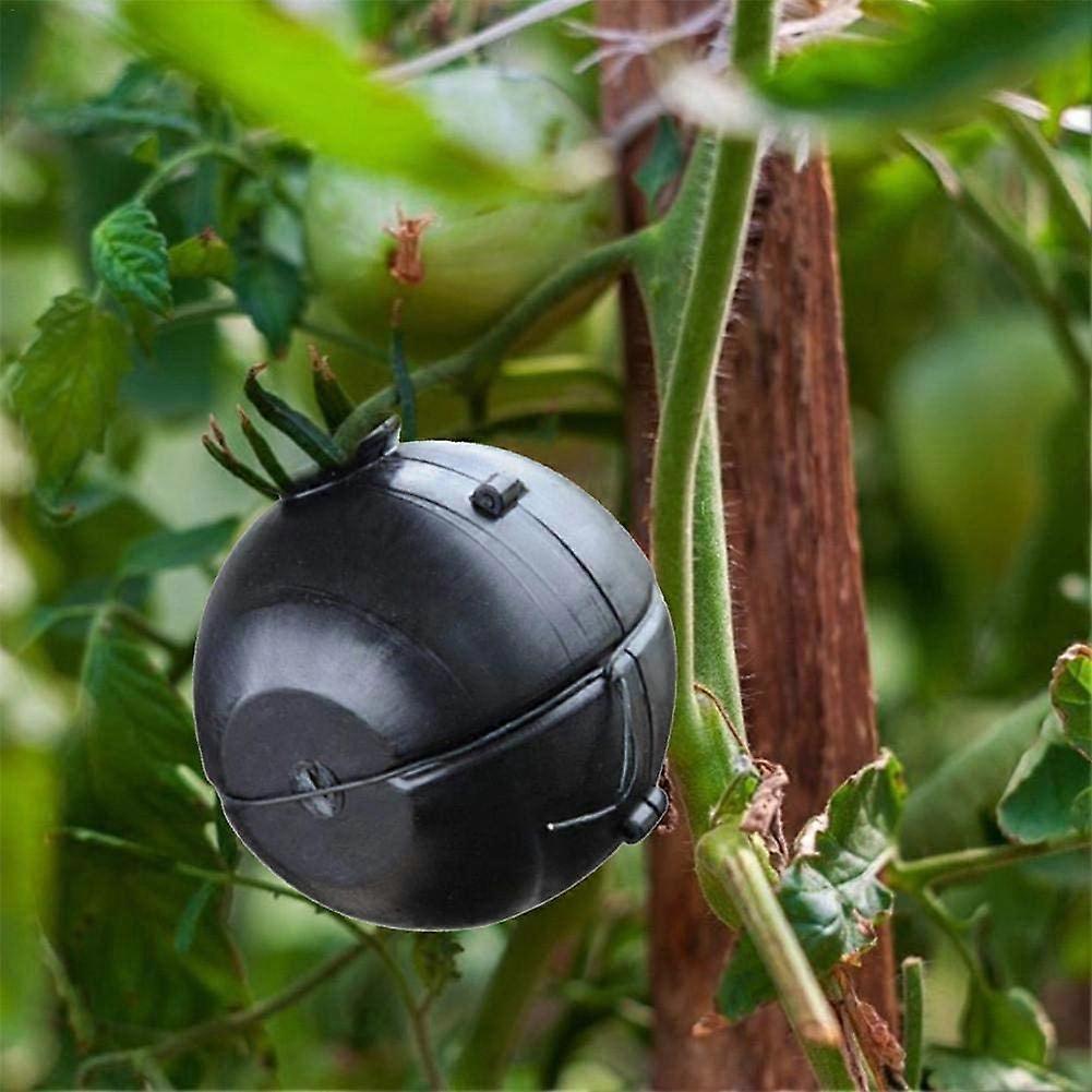 Plant Rooting Device Plant Root Ball Plant Rooting Ball,Plant Root ...