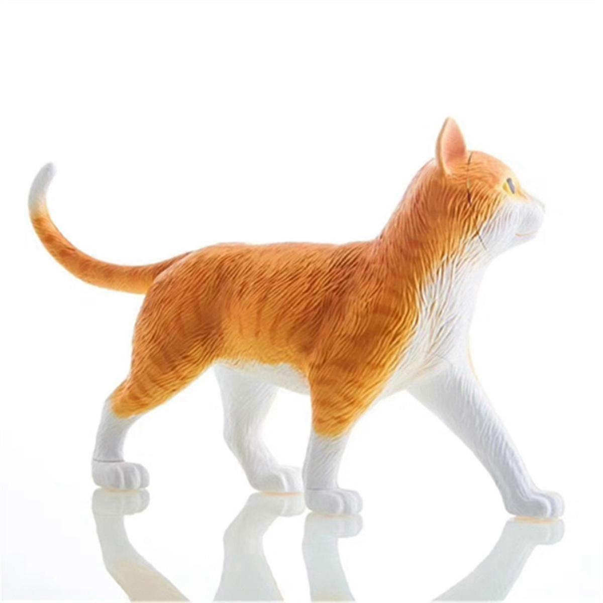 Animal Organ Anatomy Model 4D Cat Intelligence Assembling Toy Teaching ...