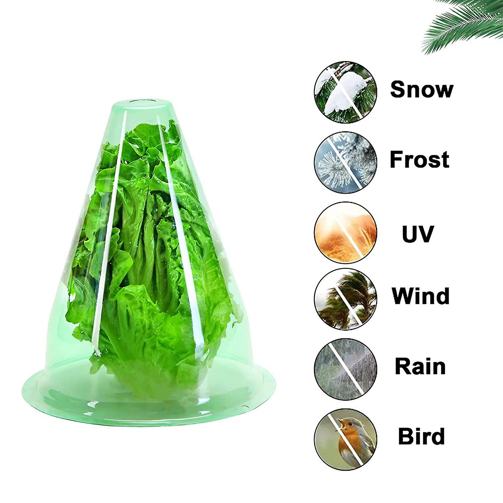 12 Pcs Garden Plants Guard Cloches Transparent Effective Protective ...