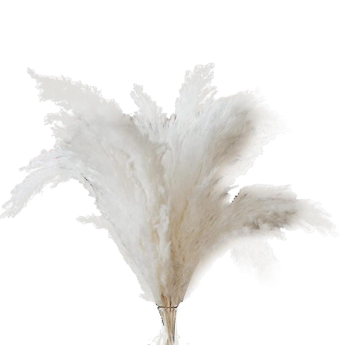 White Pampas Grass - 10 Pampas Stems Of Fluffy Pampas Grass For Wedding ...