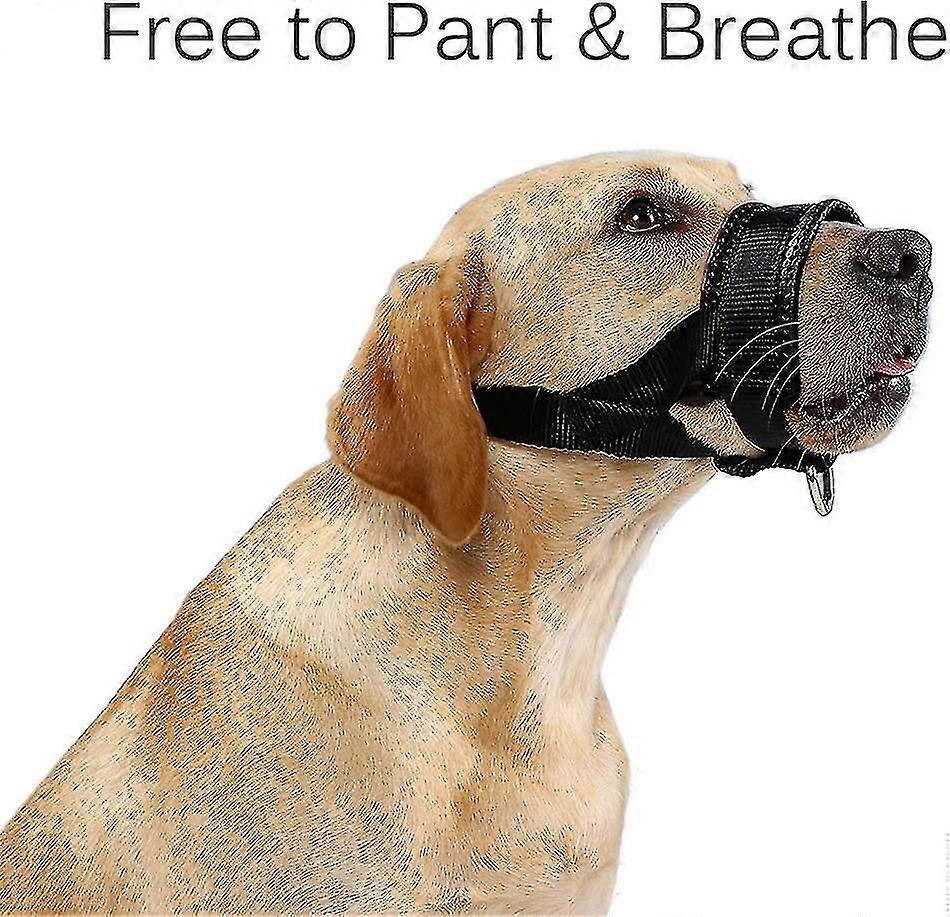 Dog Muzzle Anti Biting Barking Chewing With Soft Padding And Adjustable ...