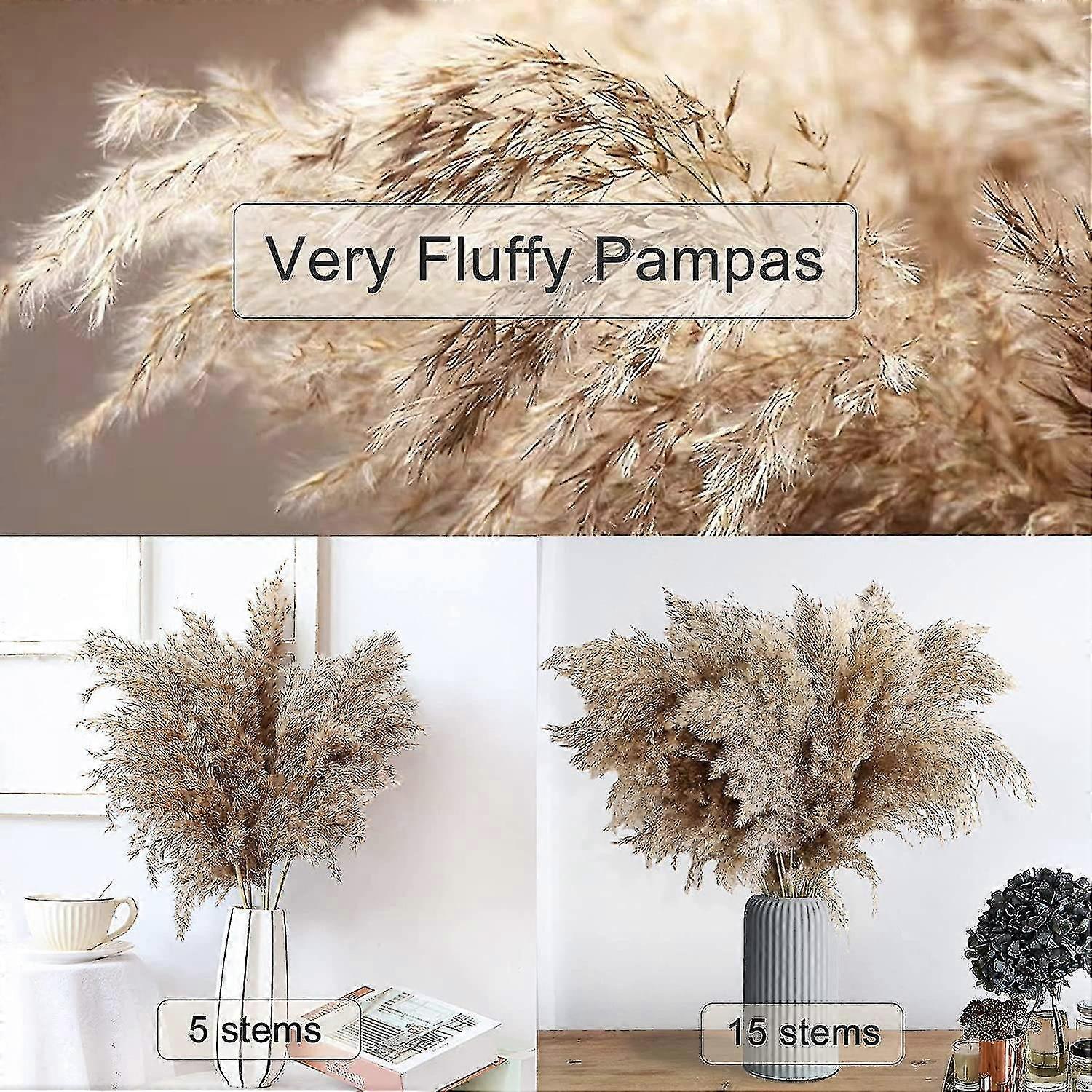 30 S Dried Pampas Grass, Pampas Grass Fluffy Pampas ,17 Inch Bulk ...
