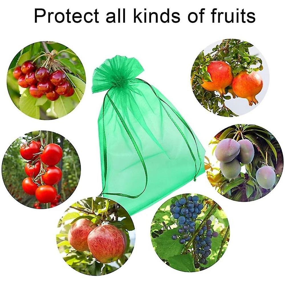 200 Pieces Bunch Protection Bag 30X20cm Grape Fruit Organza Bag With ...