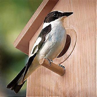 Bird House Exterior Window Nest Box Bird House with Strong Suction Cup ...