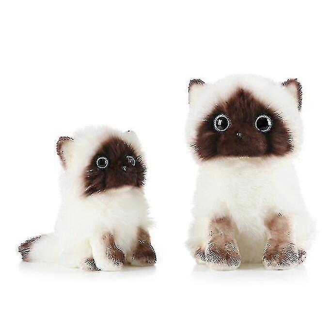 Cute Ragdoll Cat Plush Stuffed Animal Toys | Fruugo UK