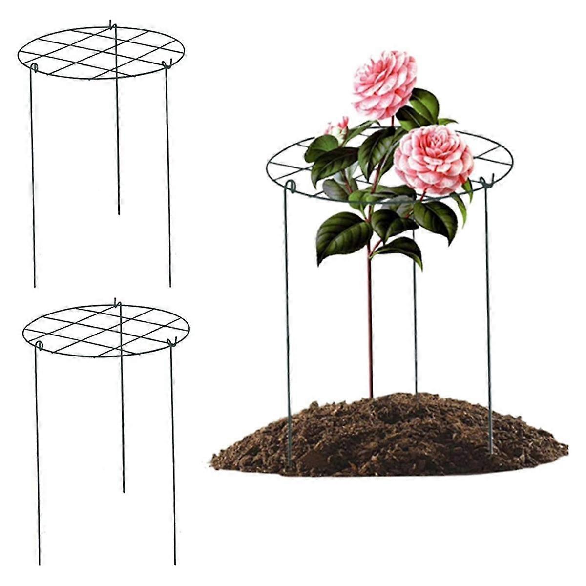 Peony Stand, Peony Support Cage, Plant Stand Growing Plant Stand ...