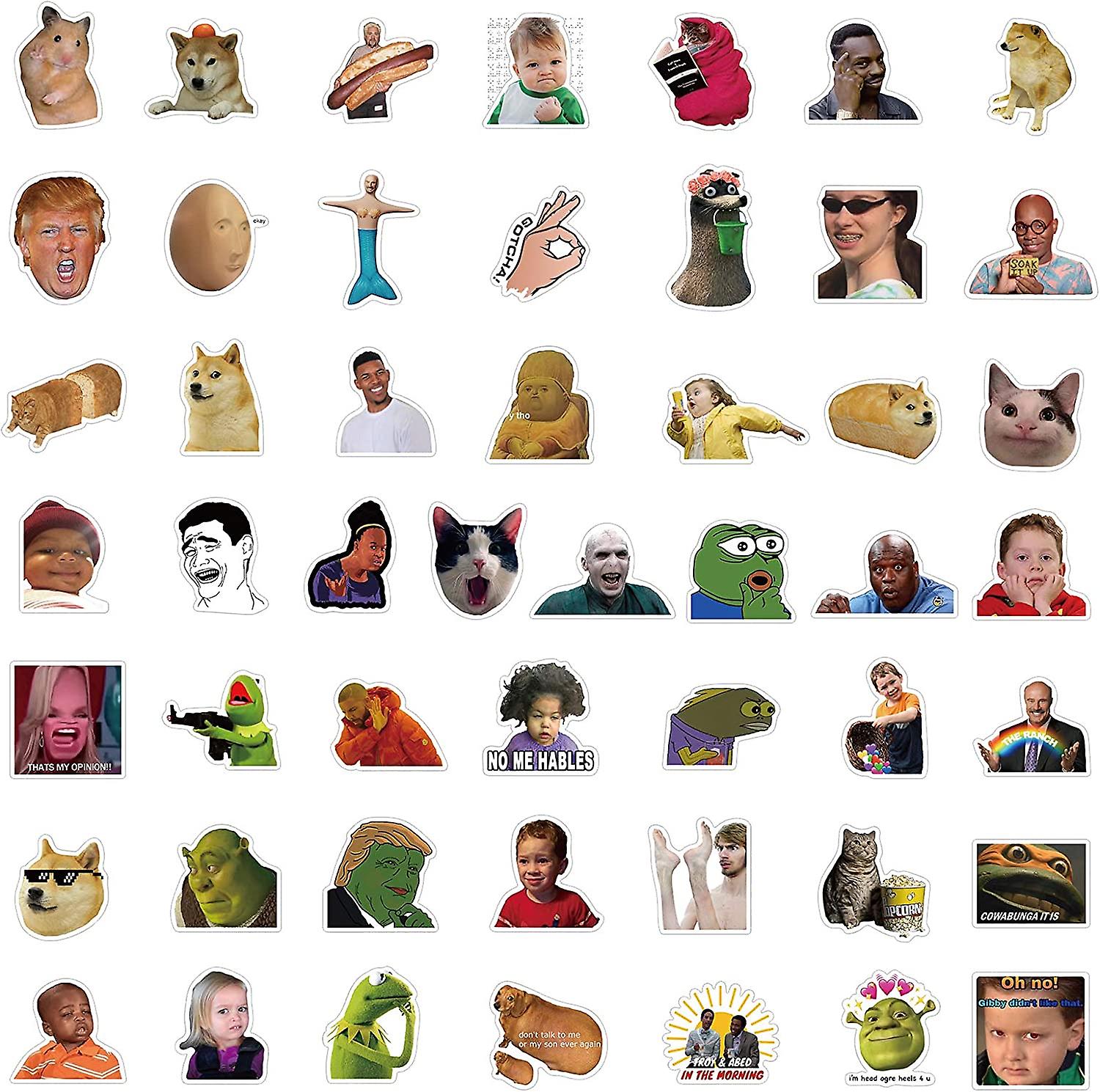 Funny Meme Stickers,100PCS Vinyl Stickers for Laptop,Skateboard,Water ...