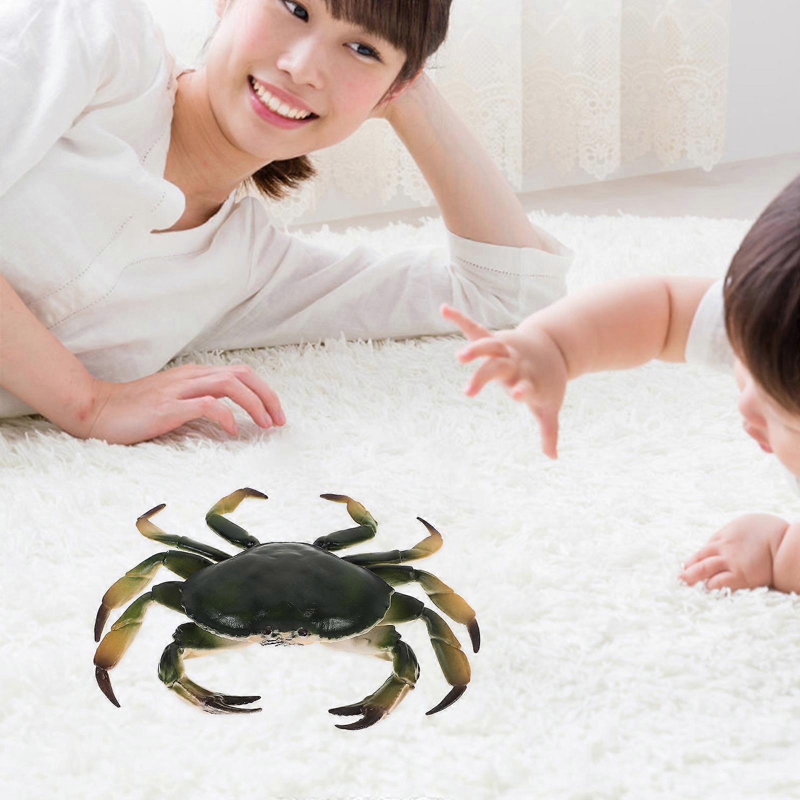 Realistic Simulation Crab Model Educational Plastic Simulated Crab ...