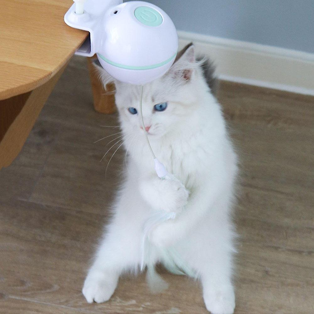 Pet cat toy led irregular laser funny stick replacebale feather | Fruugo UK