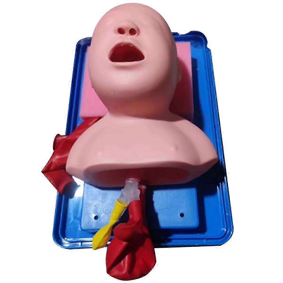 Tracheal Intubation Infant Model, Nasal Intubation Model Simulator ...