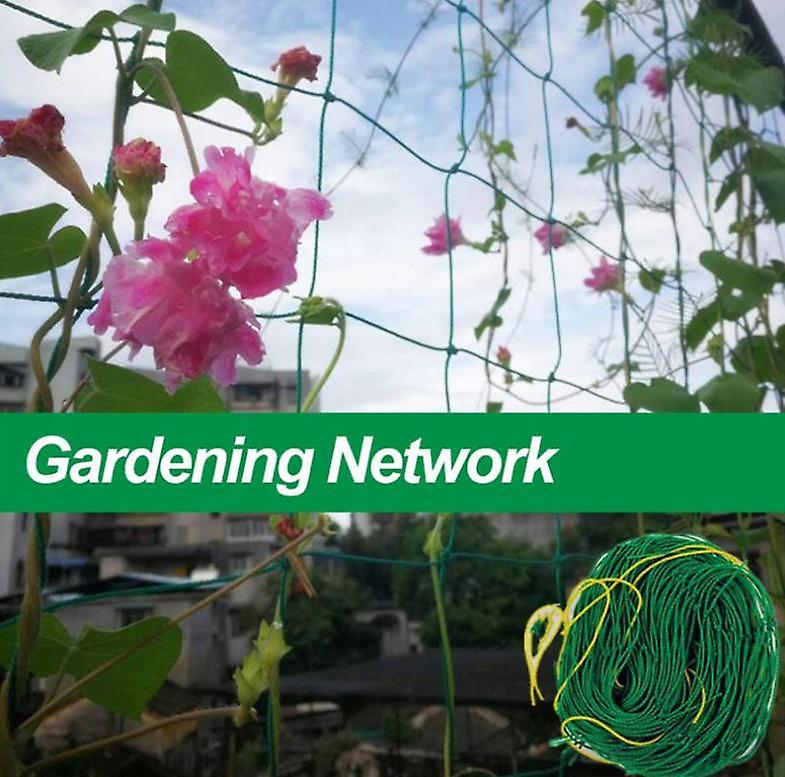 Gitternetz Wachsen Garten Blumen Grüne Erbse Weinrebe Pflanzen Mesh ...