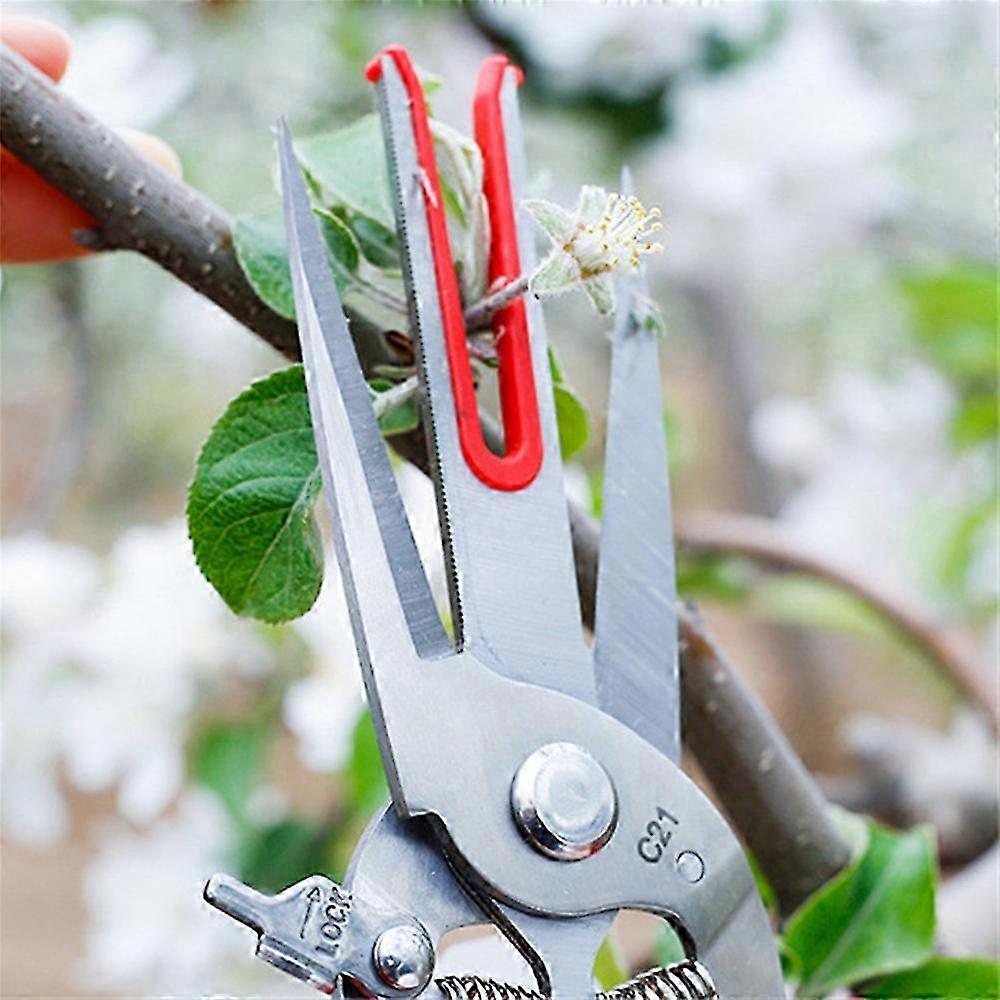 Agriculture Thinning Scissors Double-port Fruit And Flower Thinning ...