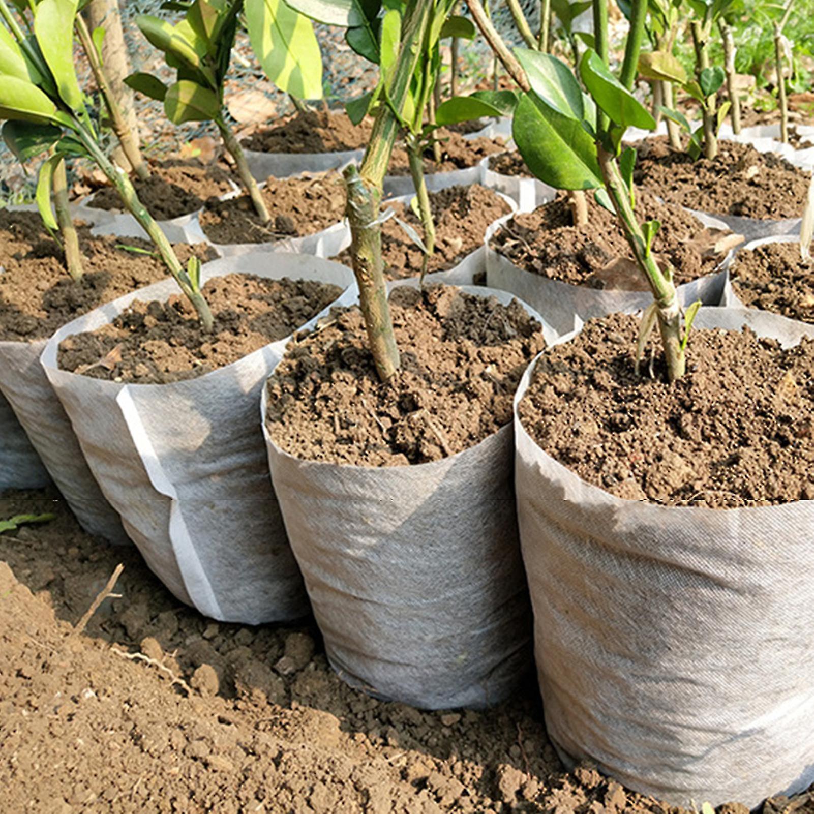 100pcs Nursery Bag Good Nutrient Absorb Ability Permeability Non-woven ...