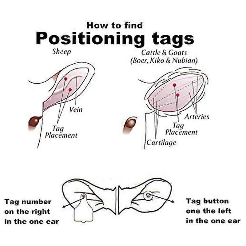 Ear Tag Pliers Ear Tag sheep Marker Applicator 001-100 Ear Tags for ...