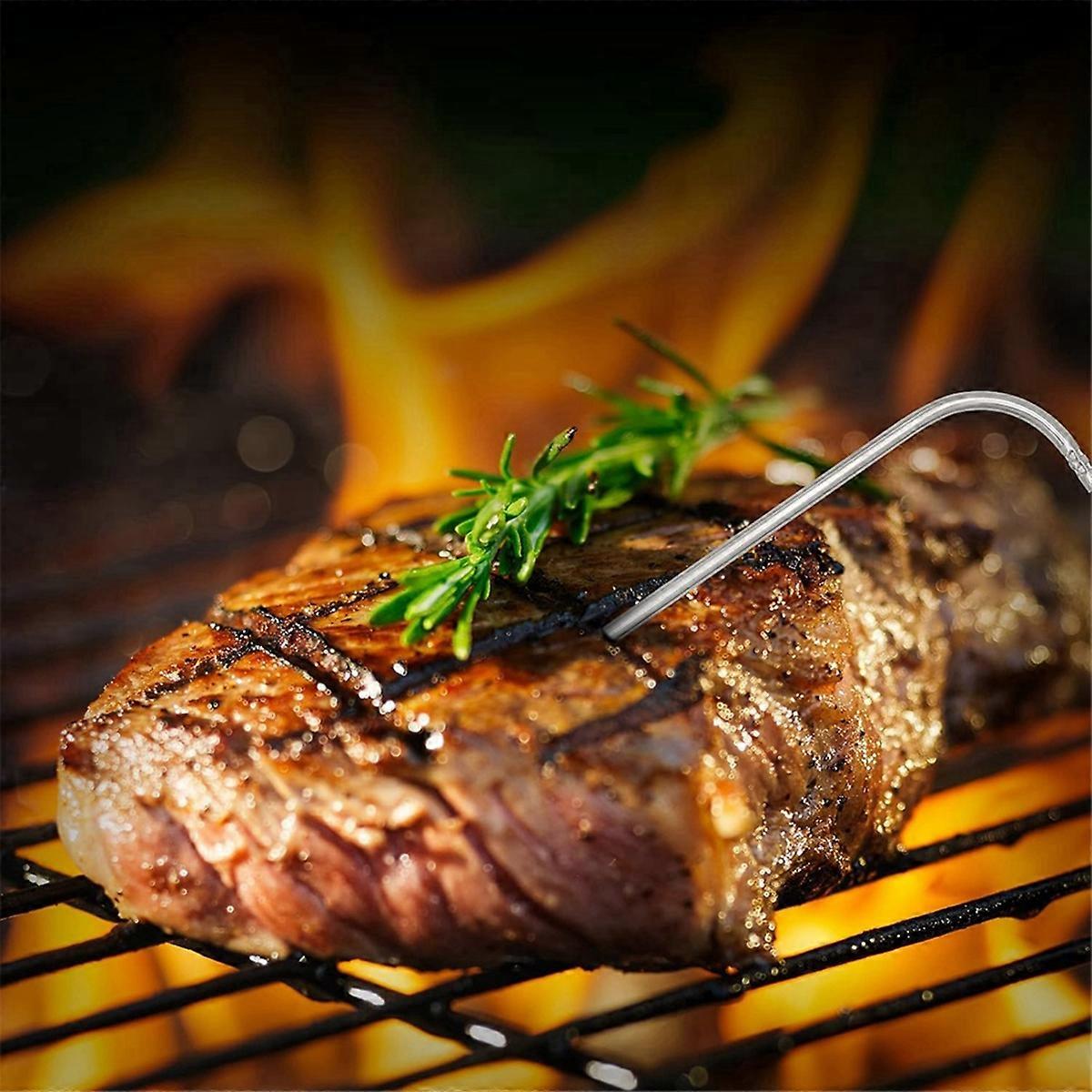 Meat Probe for Pit Boss Pellet with Digital Control Meat Probe | Fruugo UK