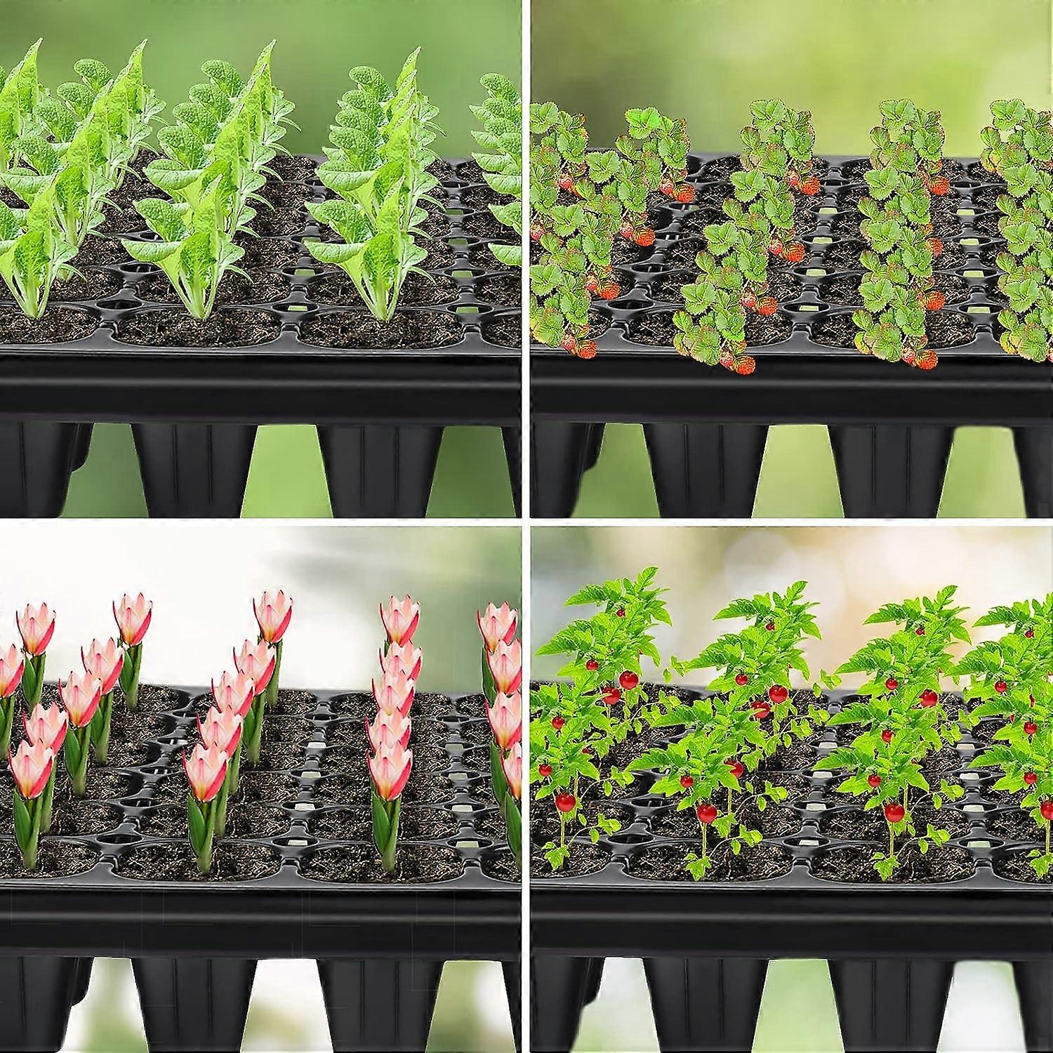 Piece 72 Cells Seed Tray Seedling Tray Germination Plastic Seed Tray ...