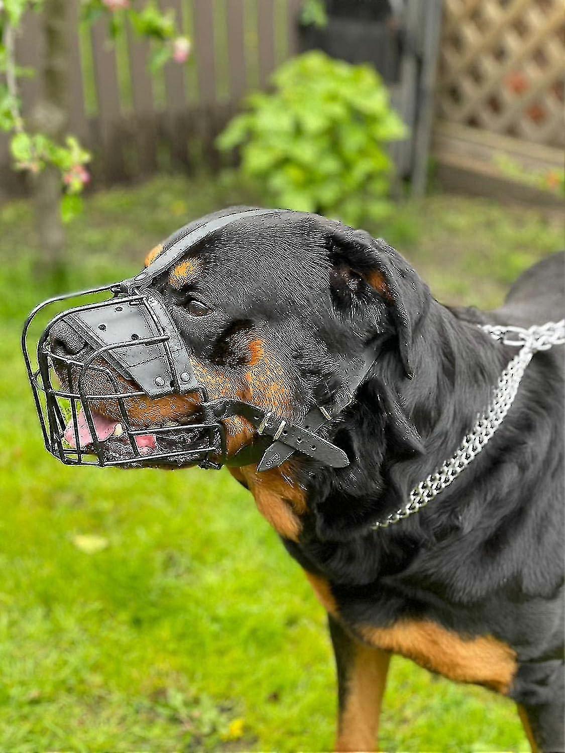 STRONG Wire Metal muzzle Basket Dog Muzzle Rottweiler,Mastiff Golden ...
