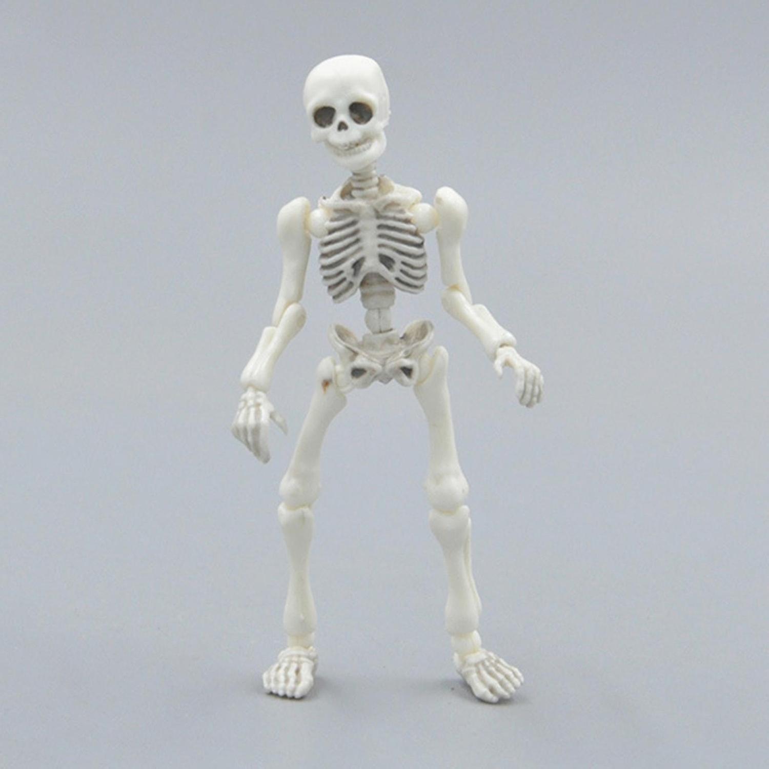 Realistic Skeleton Action Figure Human Skeleton Halloween Party Table ...