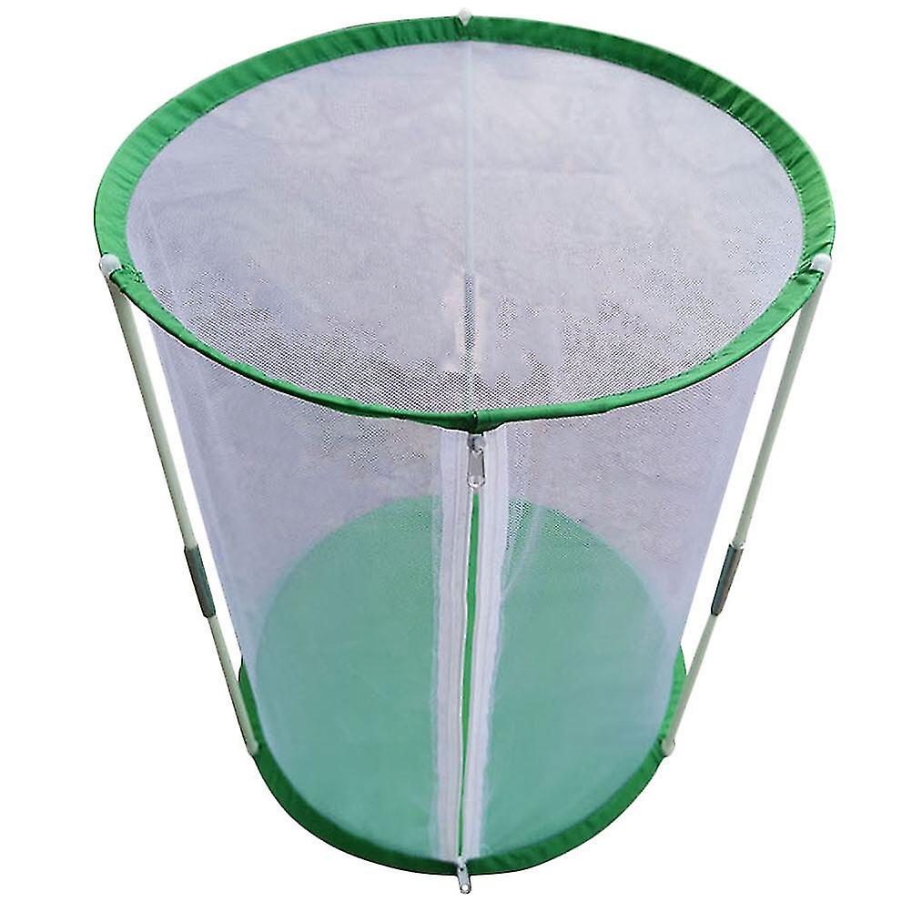 Butterflies Habitat Cage Visible Insect Cage Insect Observation Cage ...