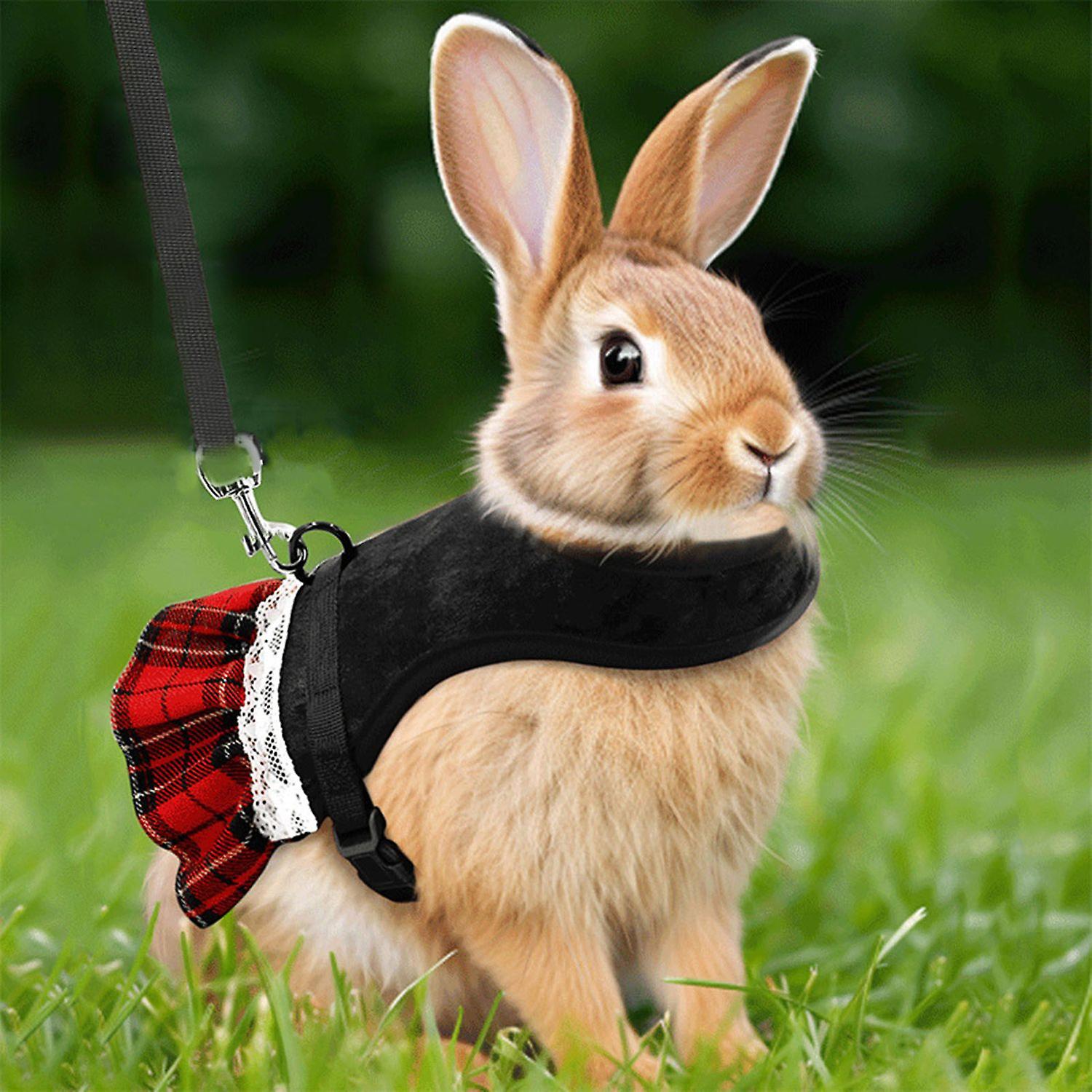 1 Set Pet Leash Cute Plaid Pattern Bunny Vest Dress Adjustable Rabbit ...