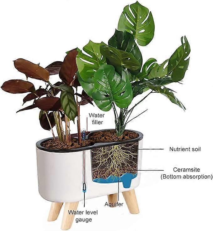 Self-watering flower pots with water level indicator, Phalaenopsis ...