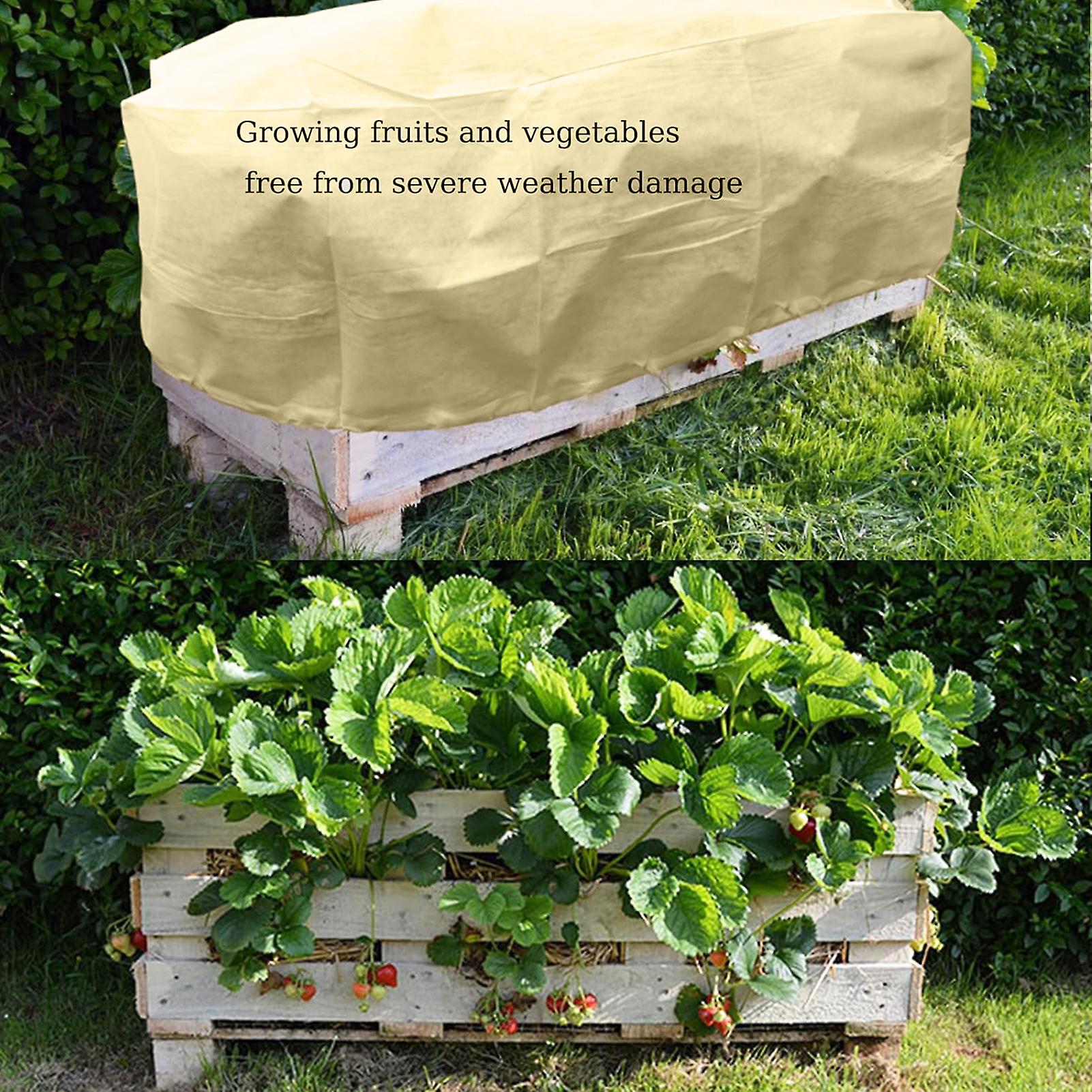 Rectangular Planter Box Protector Protects Plants from Frost Wind Rain ...