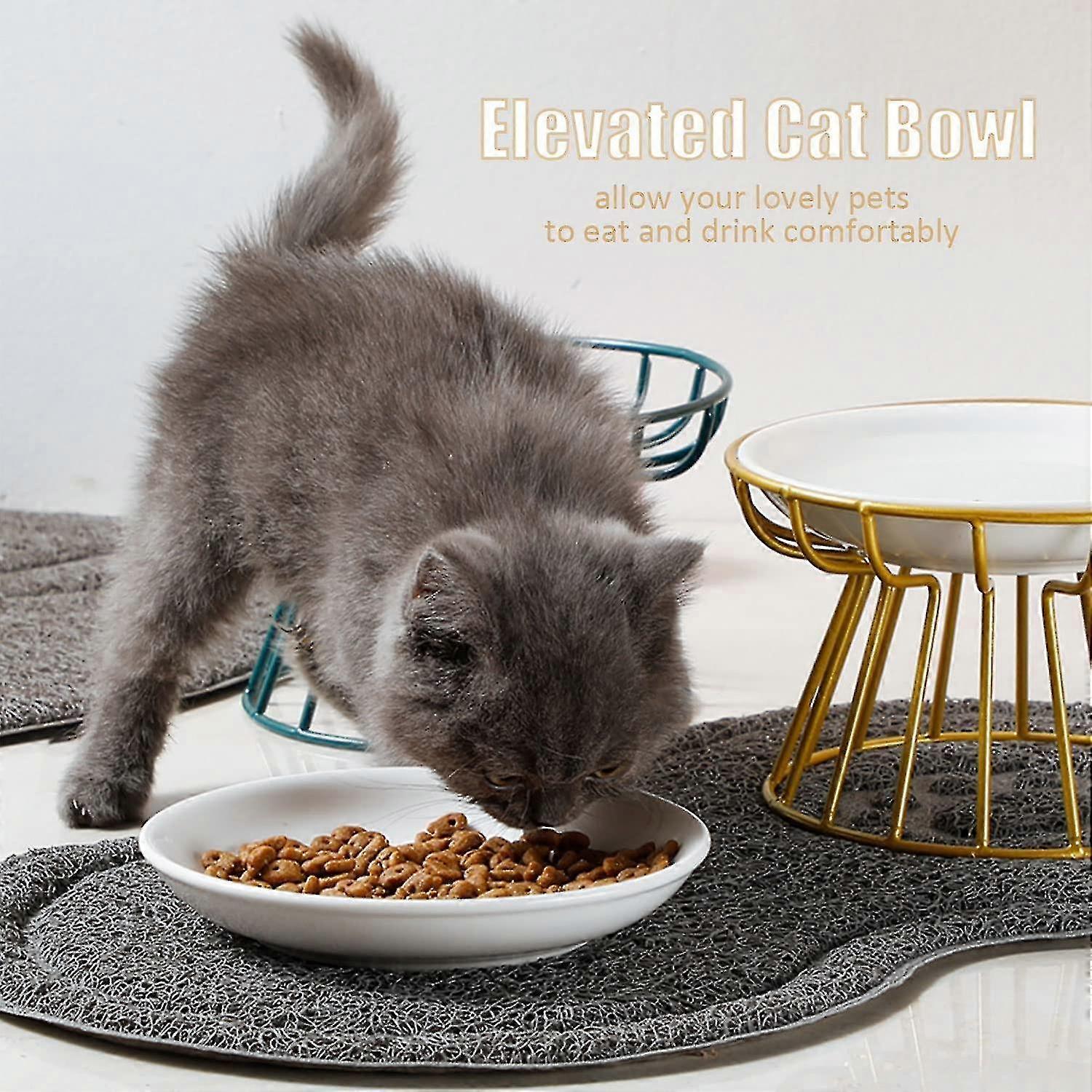 Anti-vomit Cat Plate,elevated Bowl-raised Ceramic Cat Bowl With Metal ...