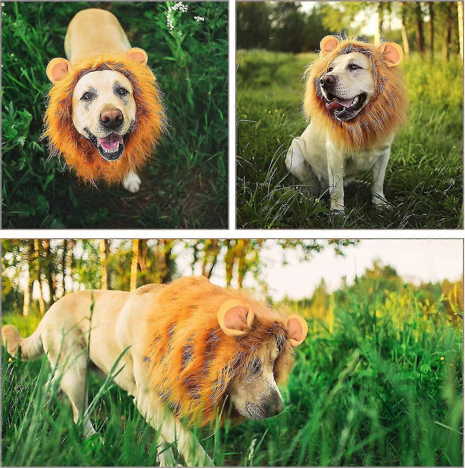 Lion Mane for Dog, Realistic & Funny Lion Mane for Dogs, Dog Lion Mane ...