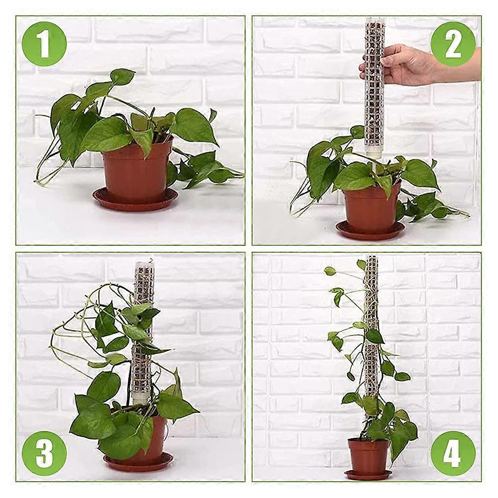 6Pcs Plastic Moss Pole 15 Inch Transparent Moss Mesh Pole Small Moss ...