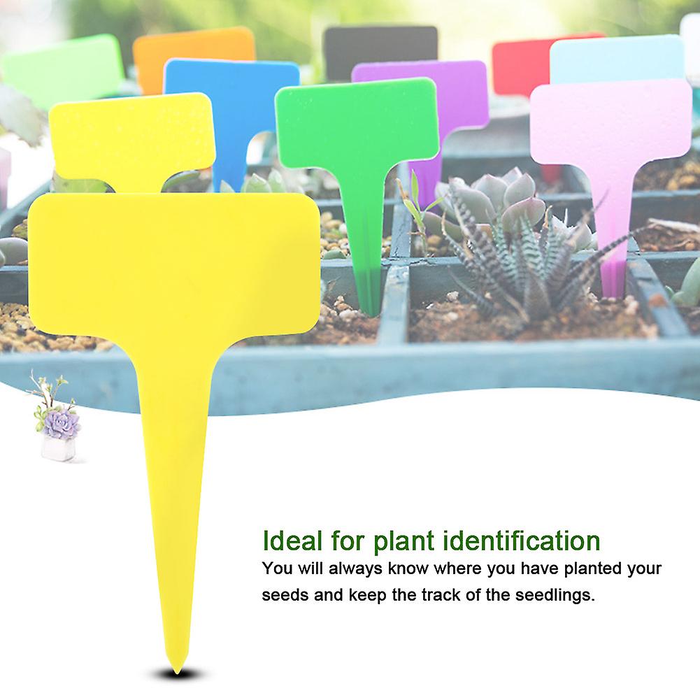 50PCS Yellow T-Type Plant Labels 6x10cm Durable Plastic Waterproof ...