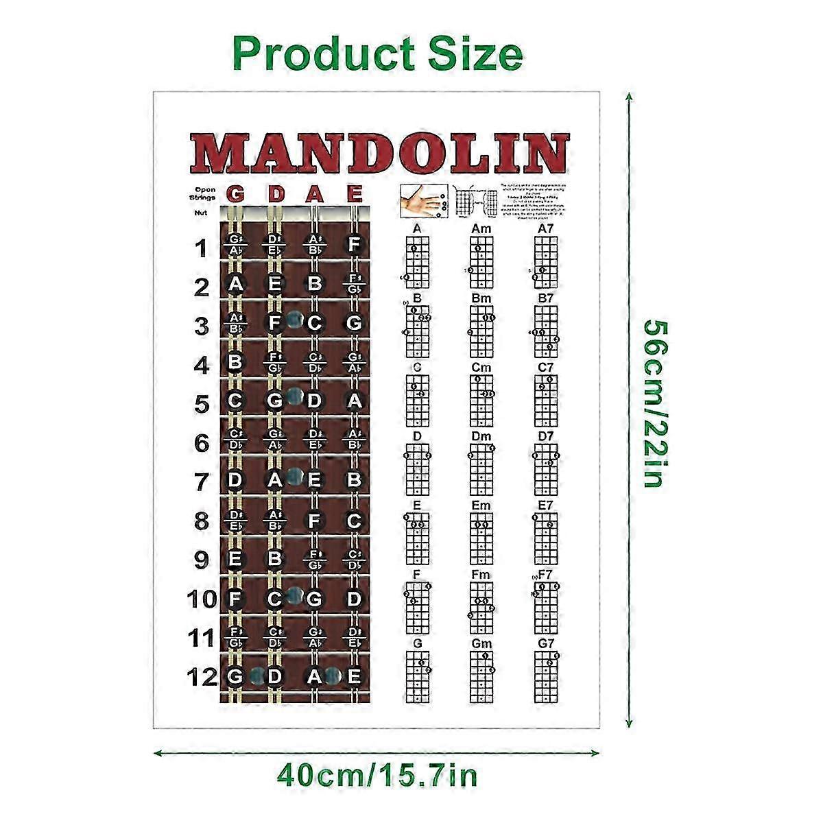 Mandolin Poster Chart Chord Musical Trainning Instrument Guide Chords ...