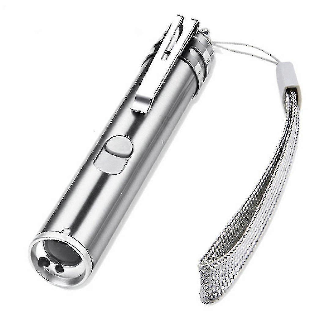 Usb Rechargeable Pet Toys Cat Training Laser Pointer With Led ...