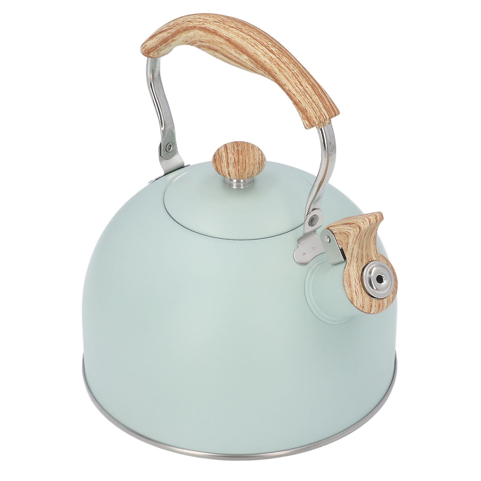 2.5L Stainless Steel Whistling Tea Kettle - Green Large Capacity Tea ...