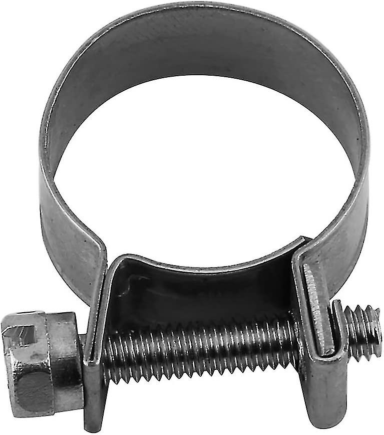 10 Pcs Hose Spring Clip 6mm-20mm Optional Hose Clamps Hose Clip 304 ...