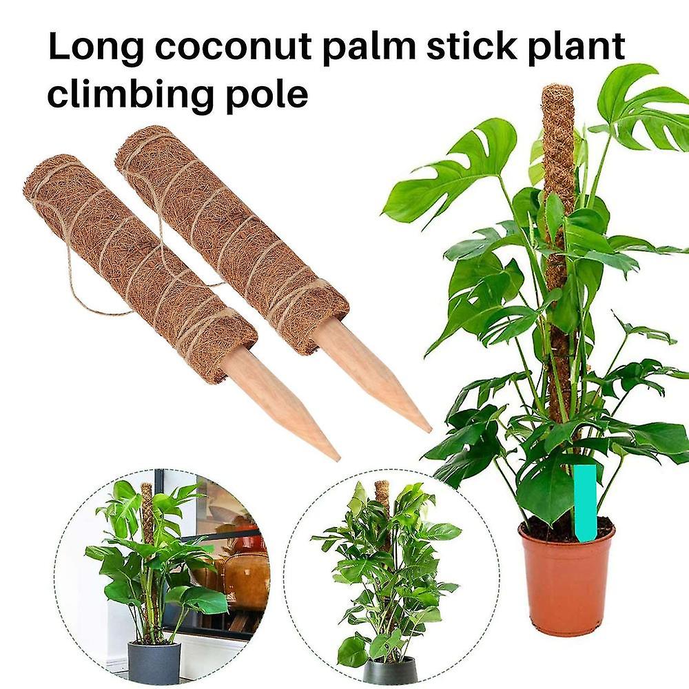 6pcs Extension Climbing Indoor Plants Creepers Plant Support Climbing ...