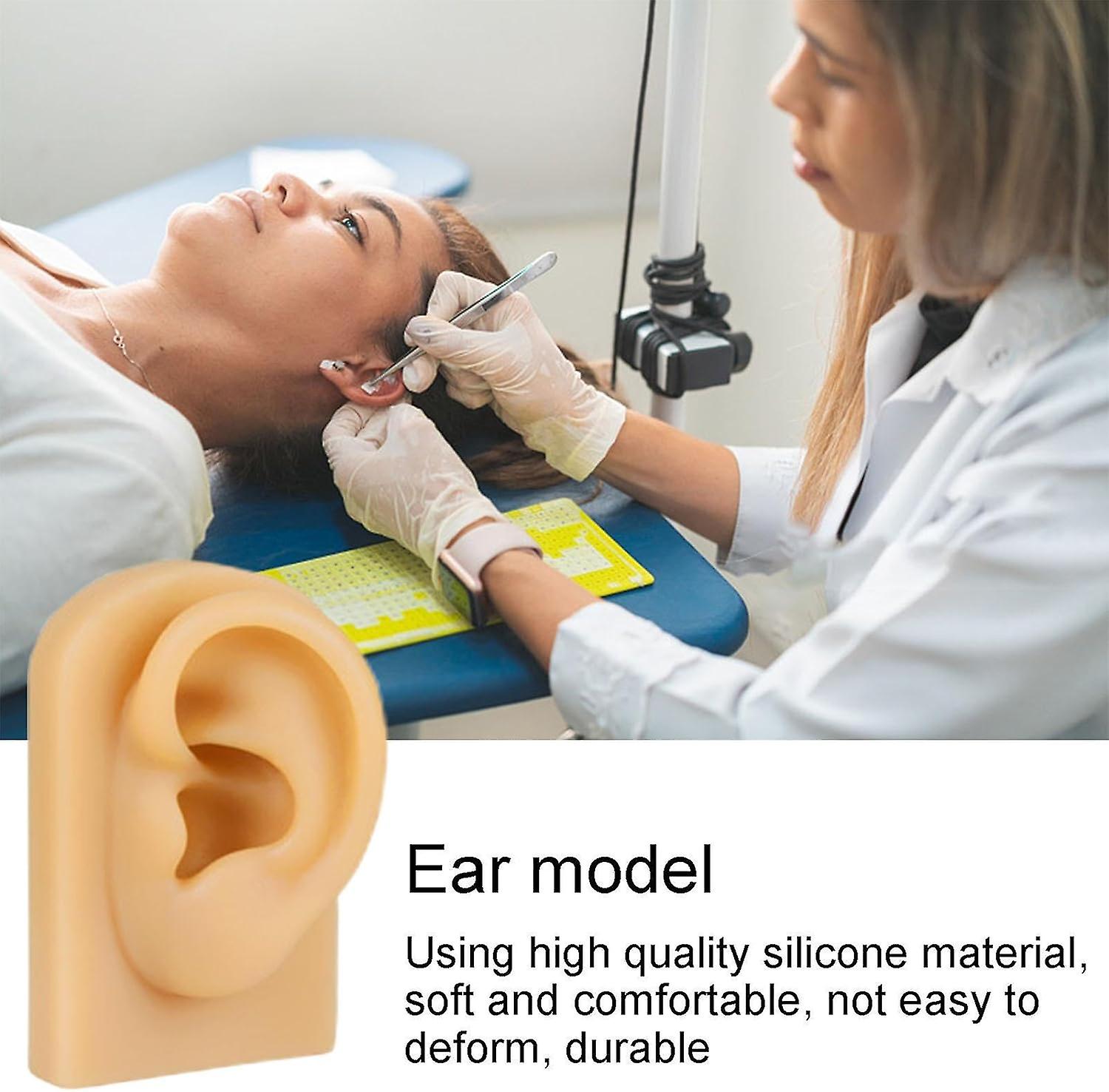 Silicone Ear Model for Piercing Practice | Realistic Human Body Parts ...