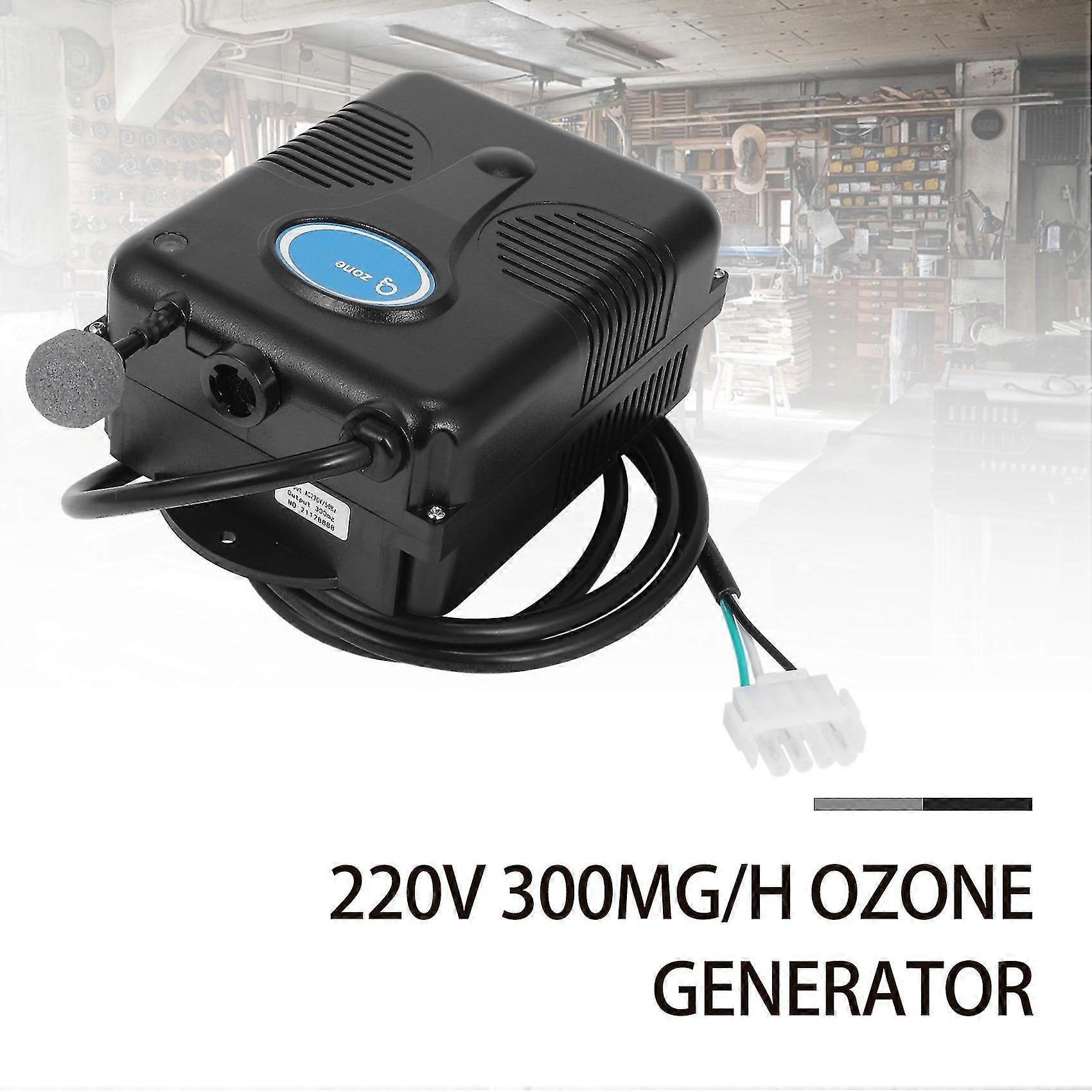 220v 300mg/h Ozone Generator Bathtub Shower Spa Swimming Pool Ozonizer ...