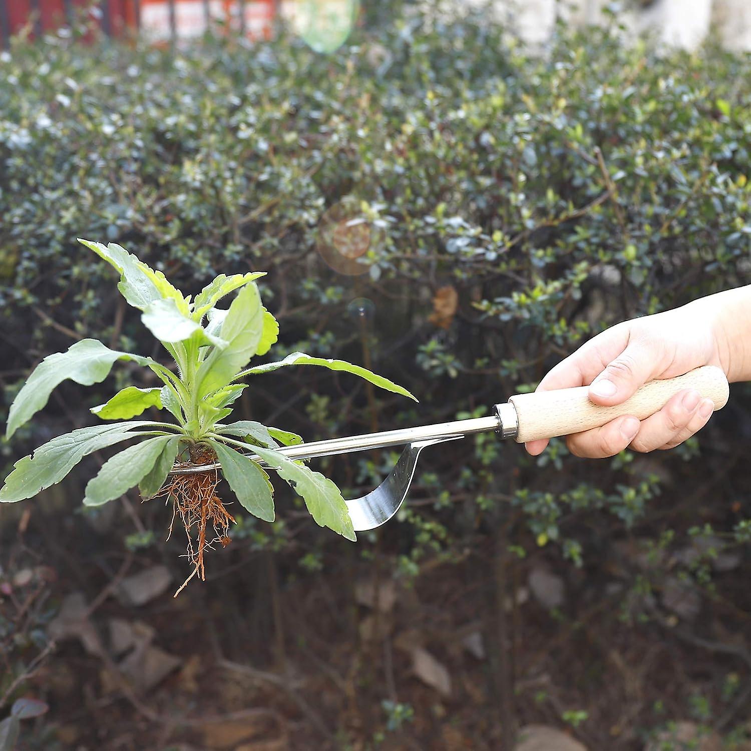 Garden Manual Weeder Stainless Steel Weeding Tool with Wooden Handle ...