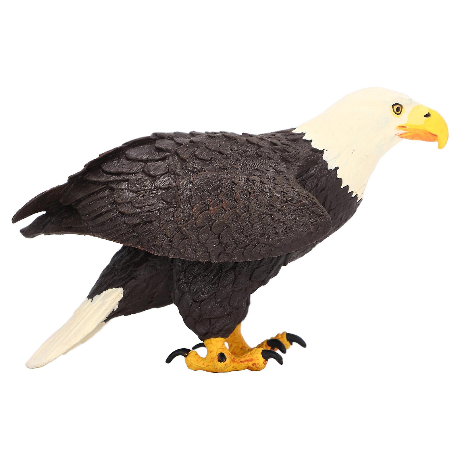 Bald Eagle Ornament Lifelike Hand Painted Educational Props Bald Eagle ...
