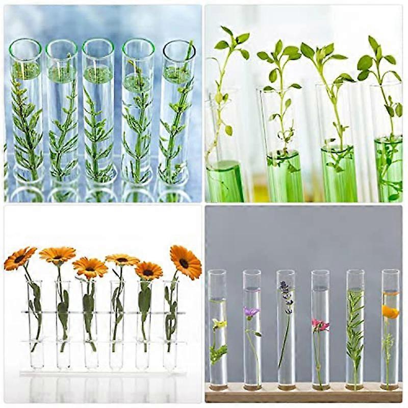 Pack of 40 Plastic Test Tubes with Corks 20Ml Test Tubes for Flowers ...