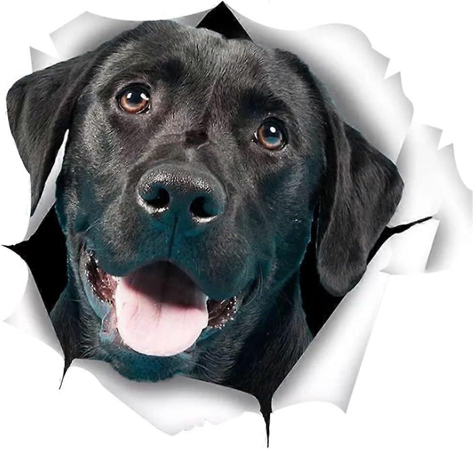 Pack Labrador 3D Dogs Stickers Black Labrador Retriever Car Sticker ...