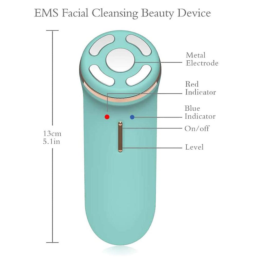 Sonic Facial Skin Cleansing Brush Ultrasonic Face Cleaner Ems Micro ...