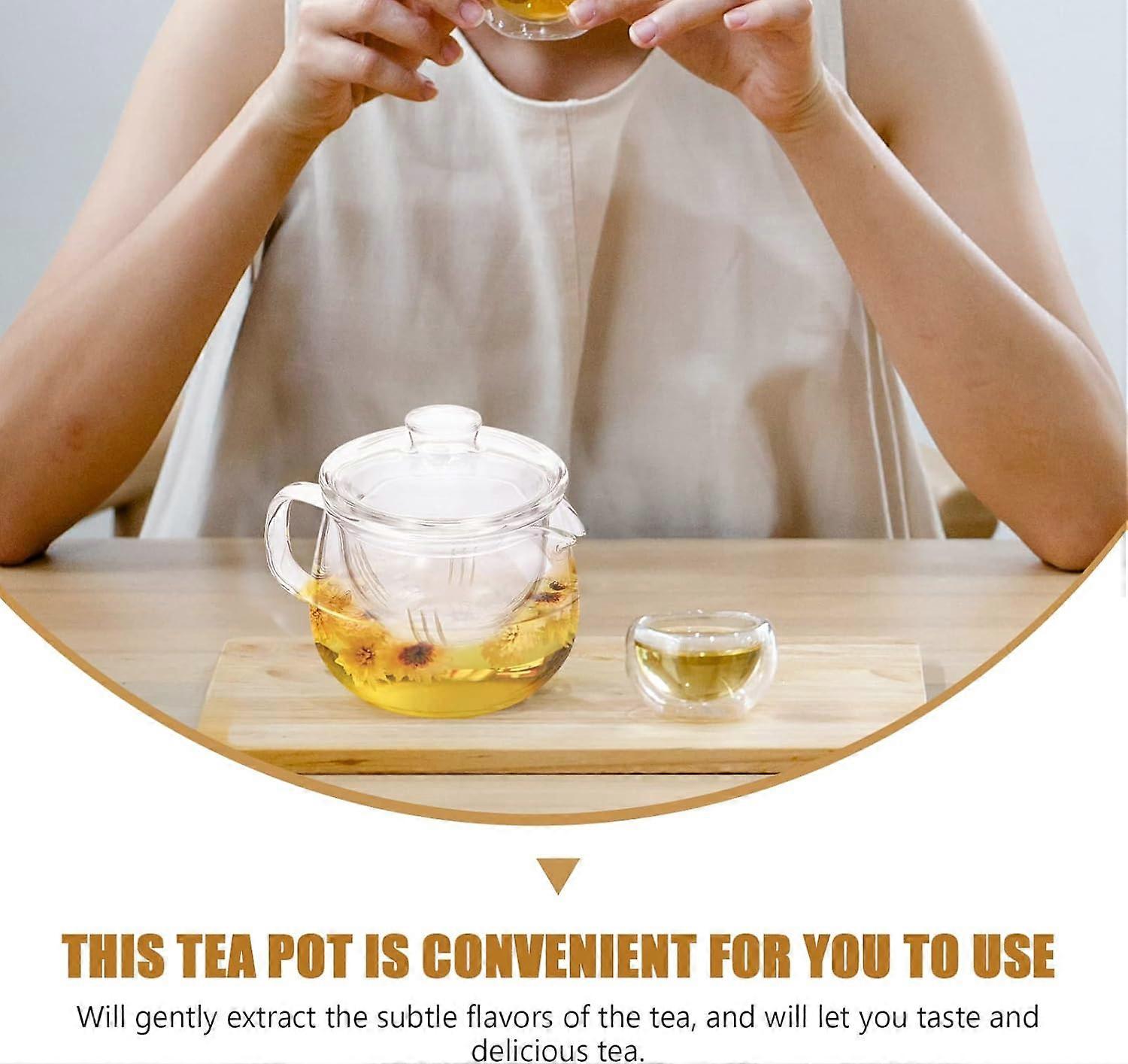10oz Glass Teapot Set with Removable Infuser, Stovetop Safe Clear ...