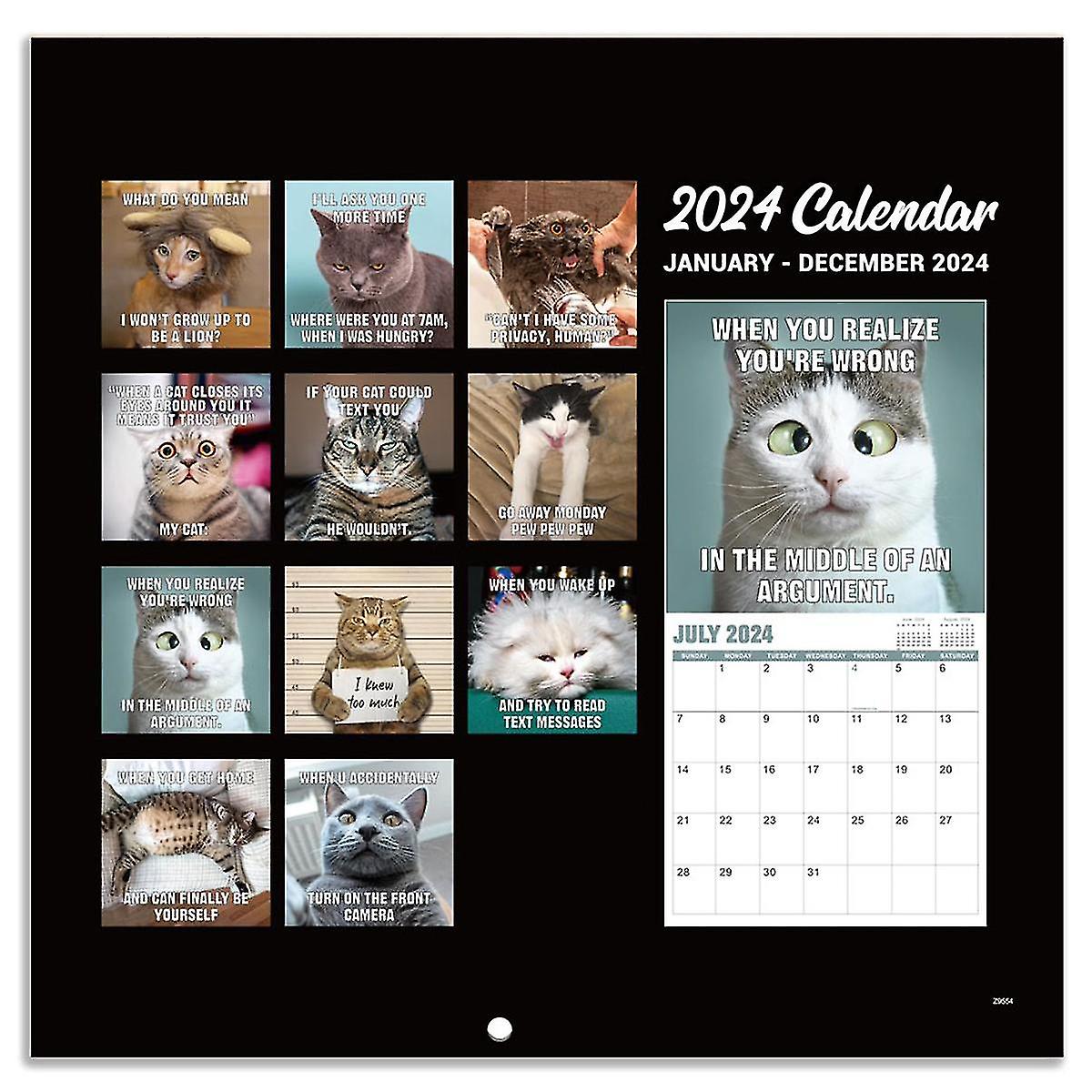2024 Wall Calendar - Funny Cat Calendar 2024, January 2024 - December ...