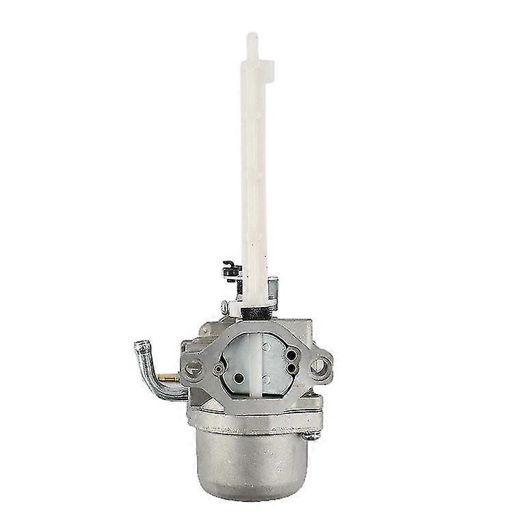2024 Carburetor for Briggs & Stratton 796122 794593 20A414 20M114 ...