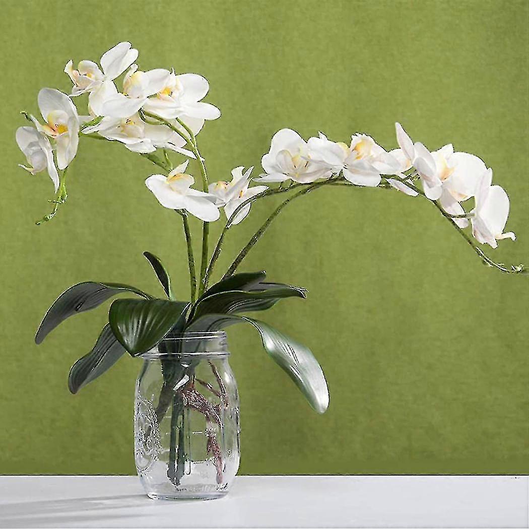 Phalaenopsis Orchids Leaves Artificial Real Looking Roots Latex Contact ...